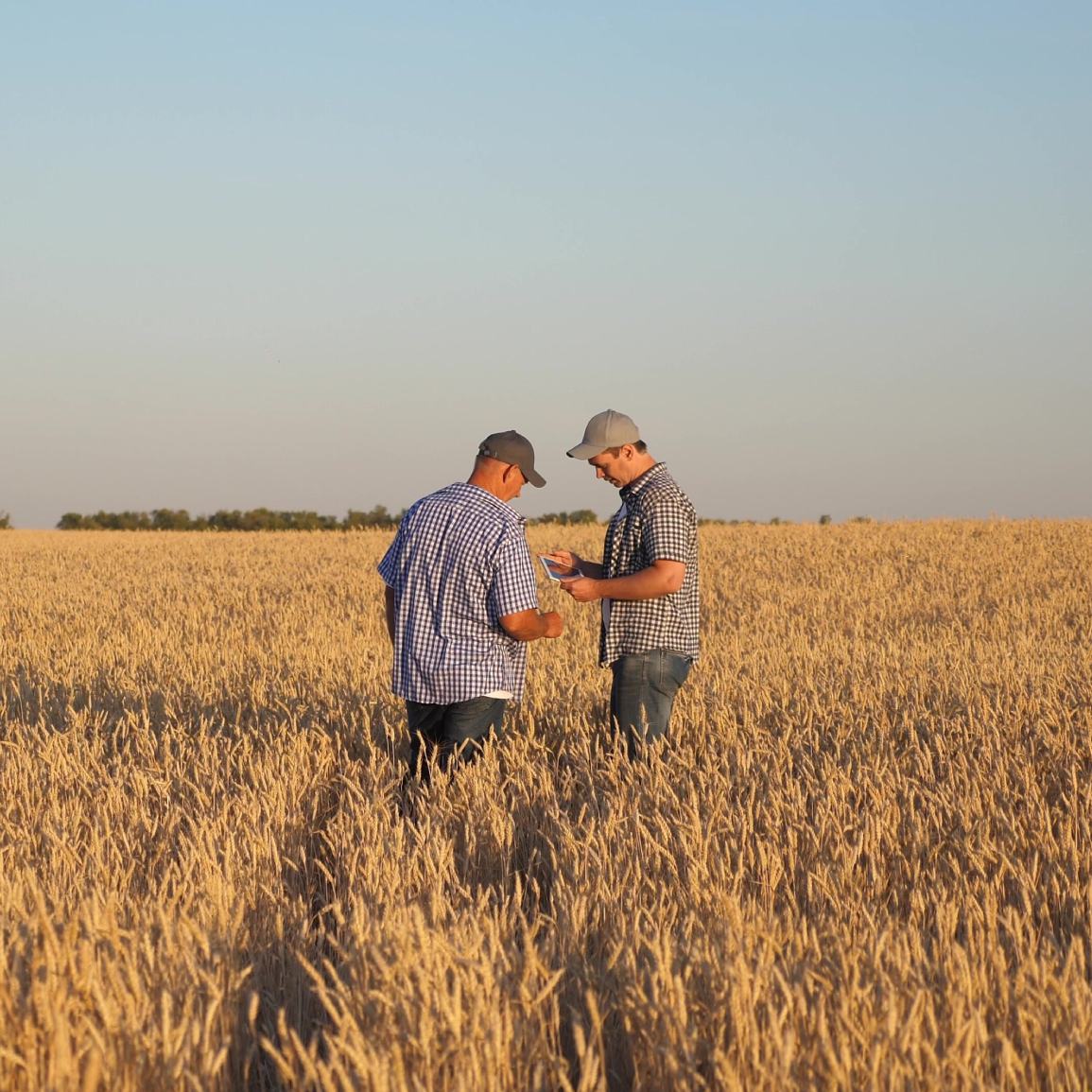 ATB Farm Transition Planning Guide | ATB Financial ATB Farm Transition Planning Guide | ATB Financial