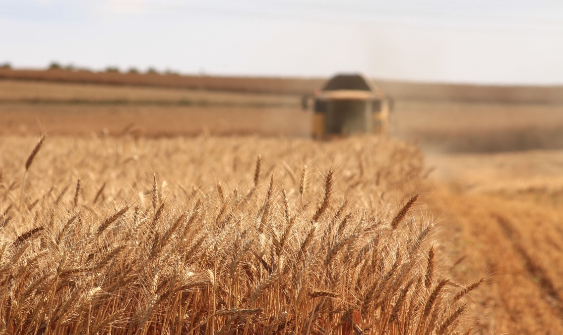 3 steps to successful farm succession planning | ATB Financial 3 steps to successful farm succession planning | ATB Financial